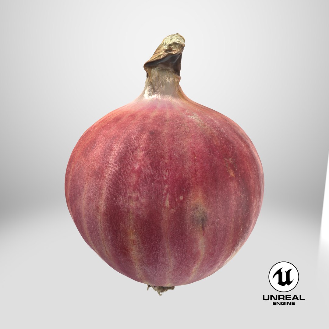 3D Shallot 02 - TurboSquid 2208787