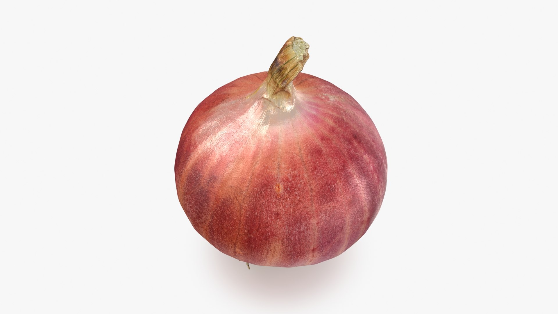 3D Shallot 02 - TurboSquid 2208787