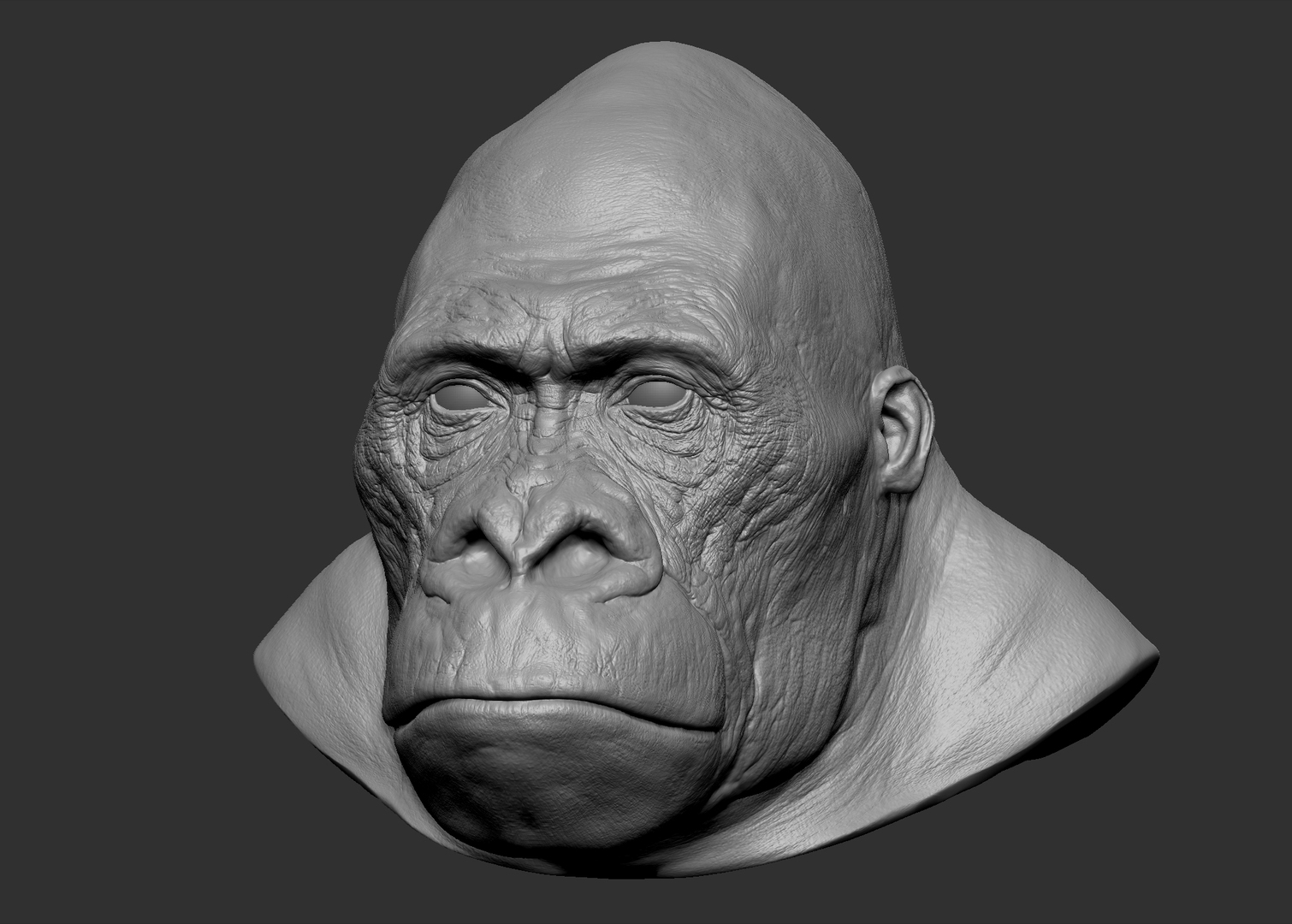 3D gorilla head realistic model - TurboSquid 1388073