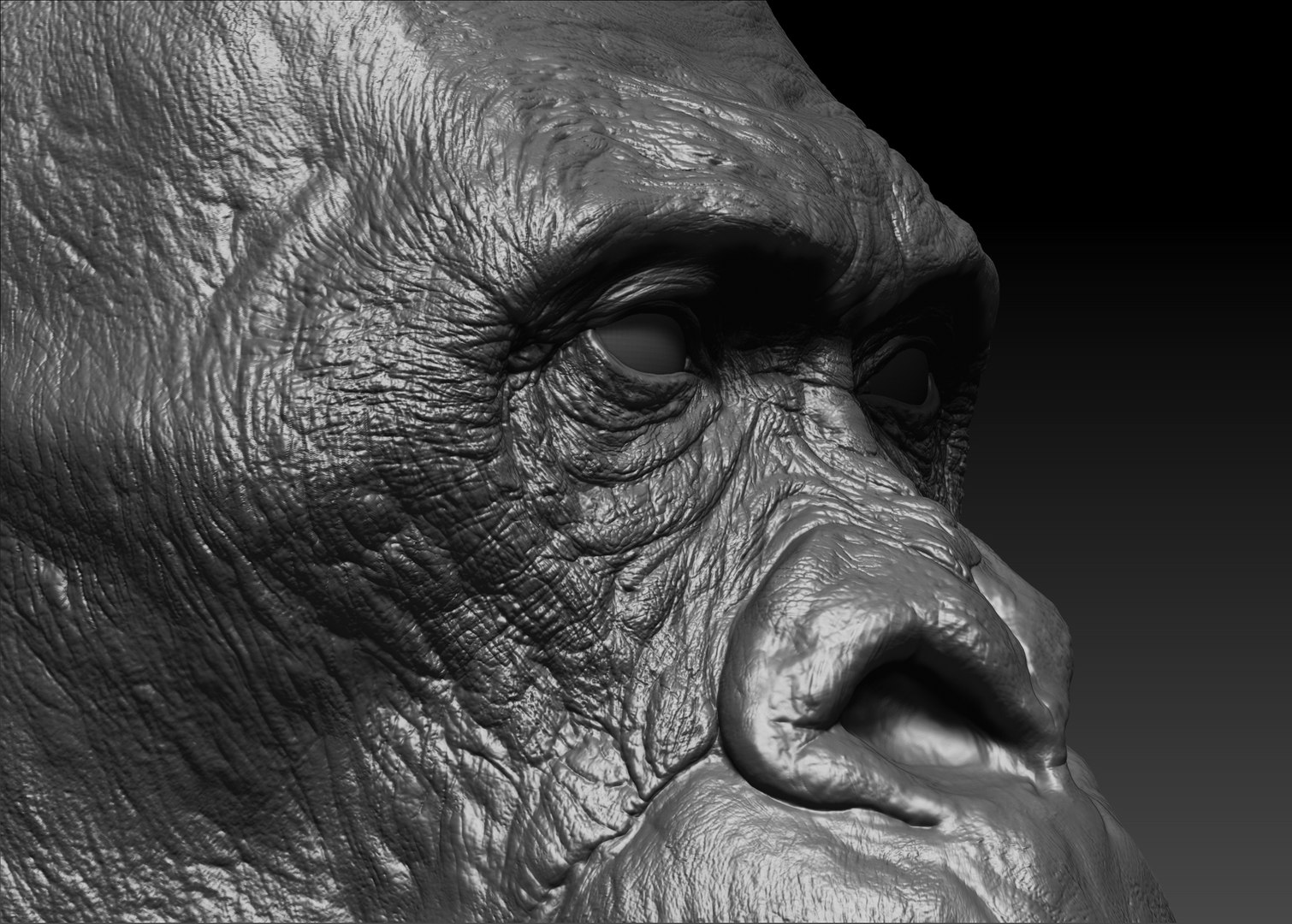 3D Gorilla Head Realistic Model - TurboSquid 1388073