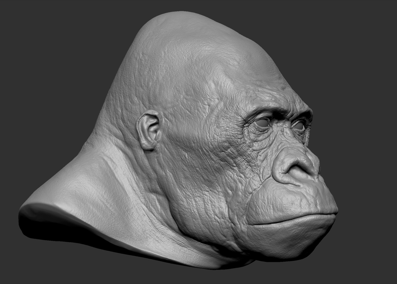 3D Gorilla Head Realistic Model - TurboSquid 1388073