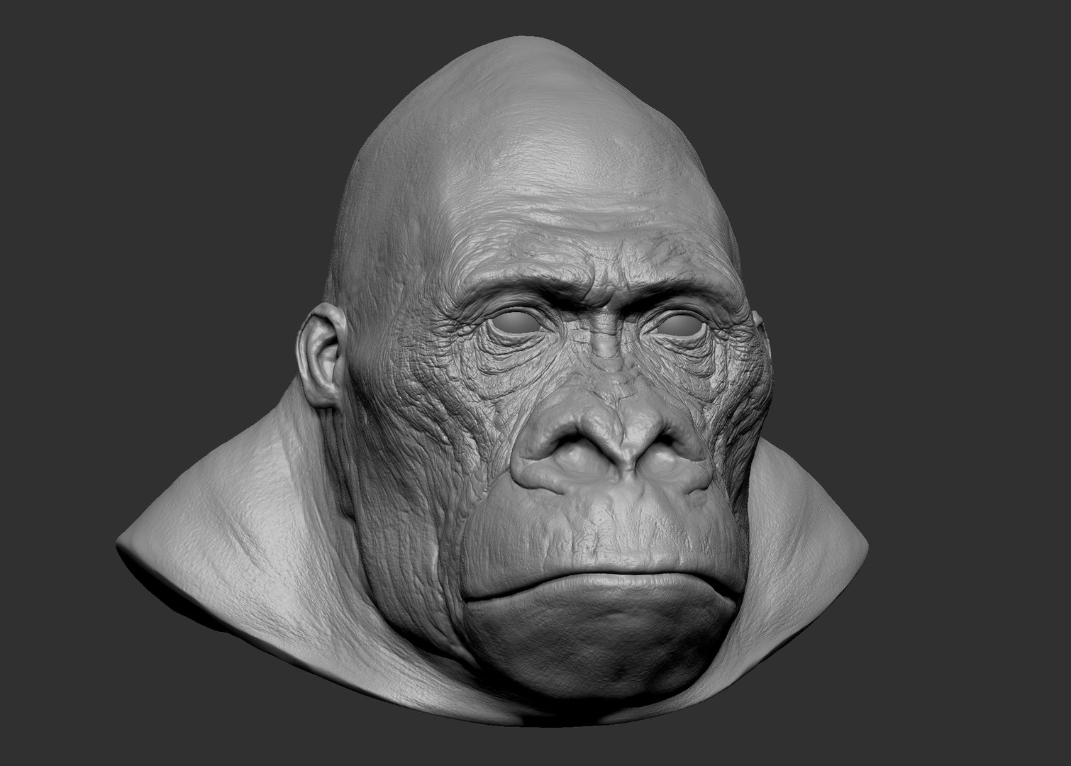 3D Gorilla Head Realistic Model - TurboSquid 1388073