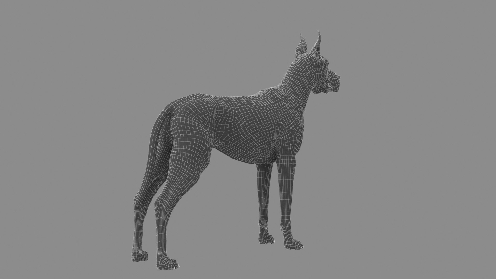 Dogs Collections Ornatrix 3D Model - TurboSquid 1756886