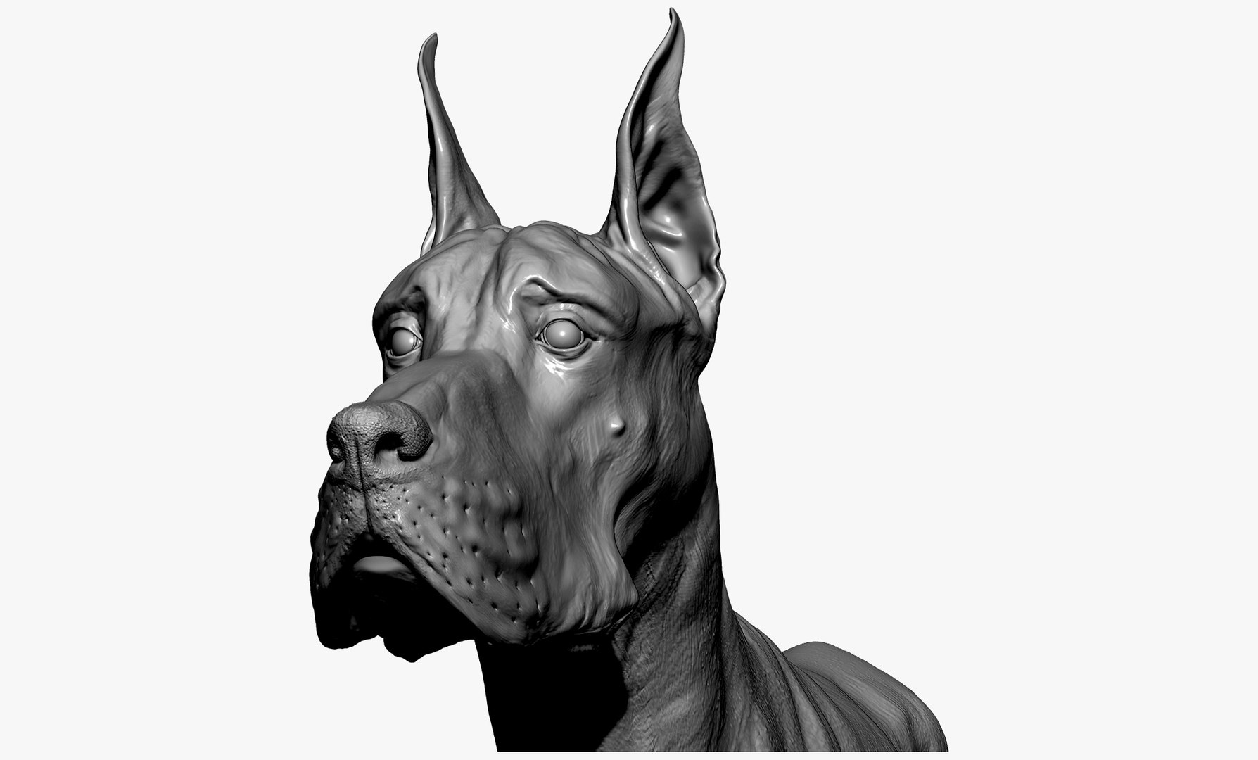 Dogs Collections Ornatrix 3D Model - TurboSquid 1756886