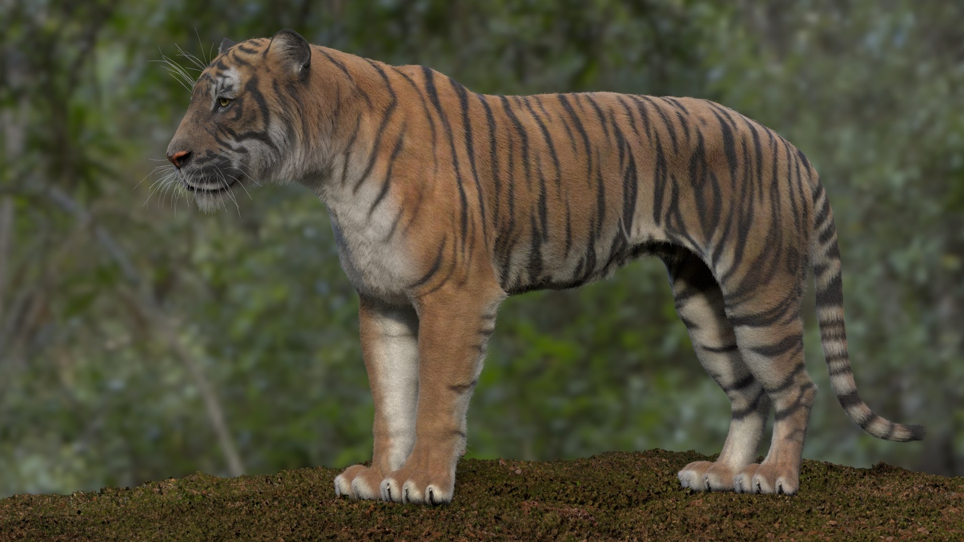 TIGGER 3D - TurboSquid 2347718