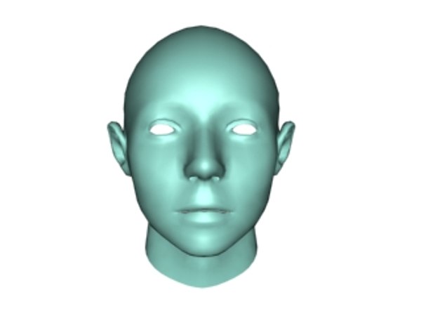 10 female mesh heads 3d model