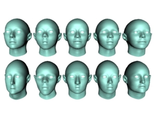 10 female mesh heads 3d model