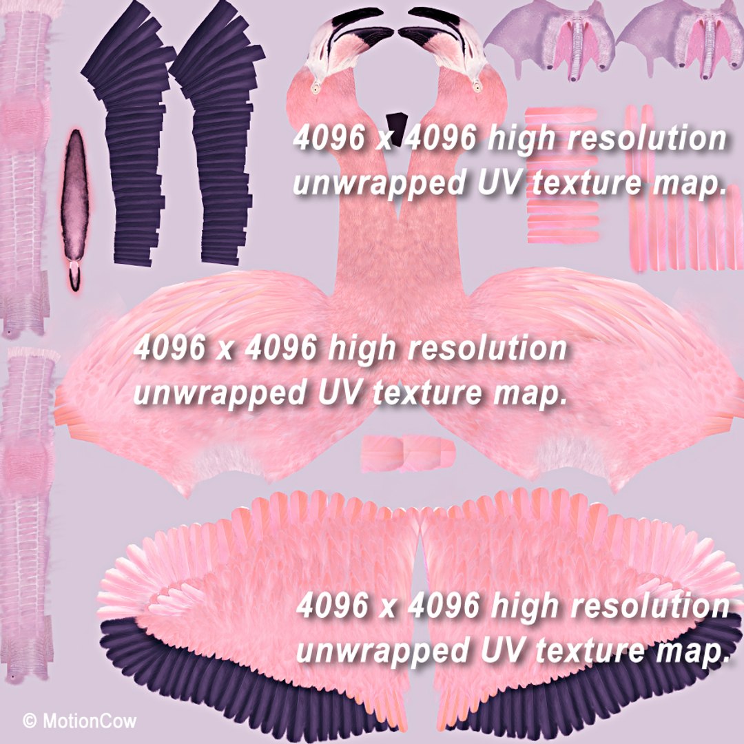 3d Realistic Flying Pink Flamingo Model