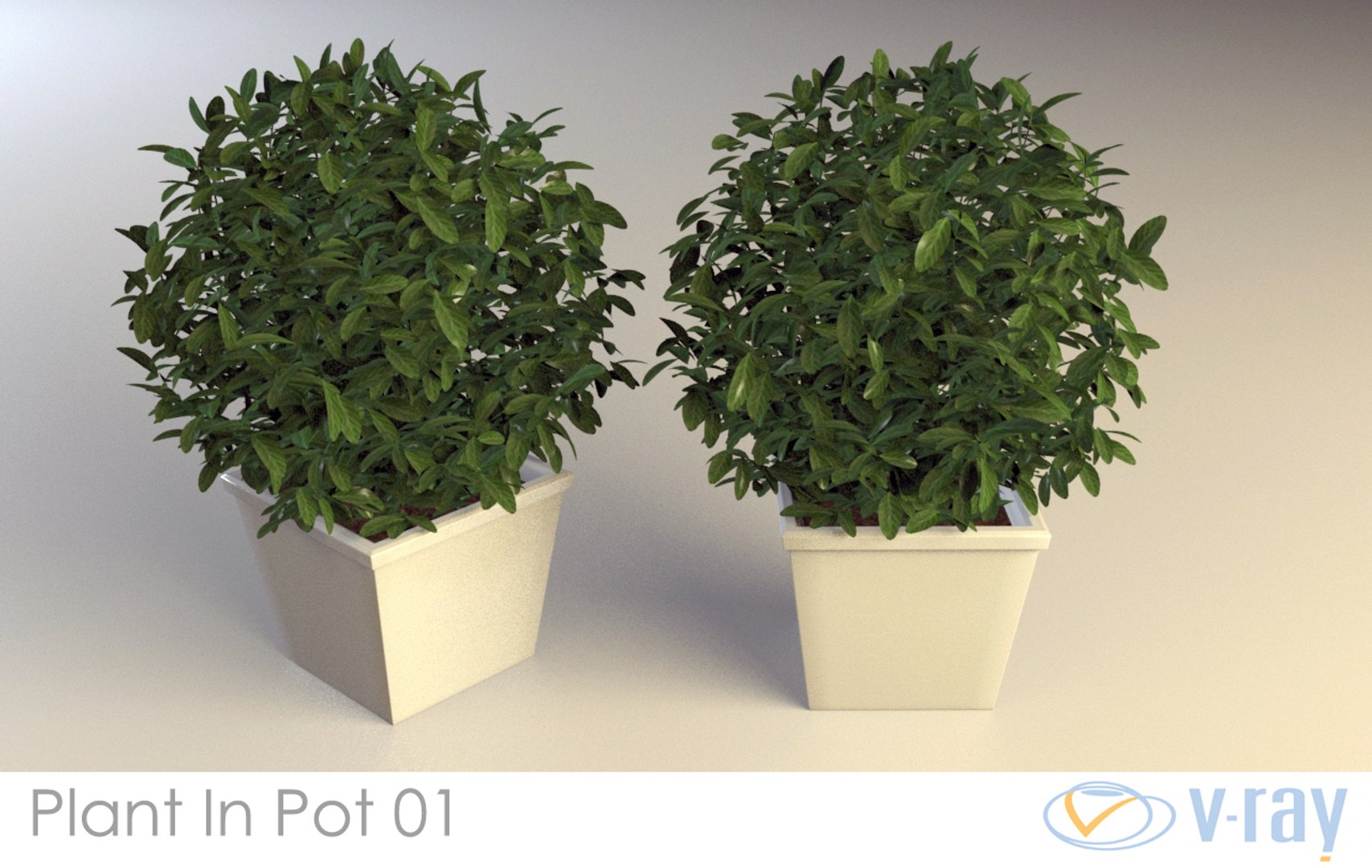 3d plant pot model