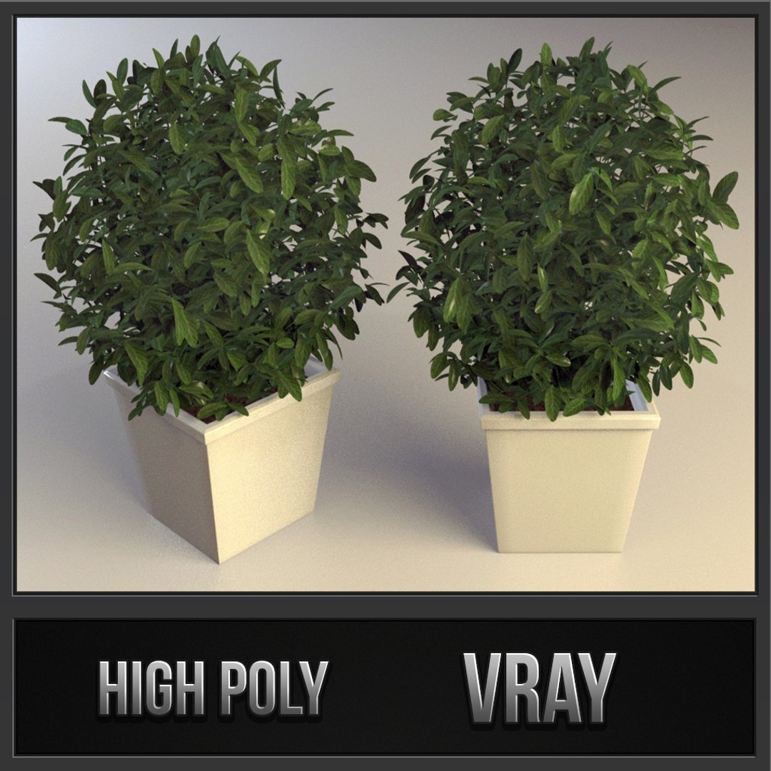3d plant pot model