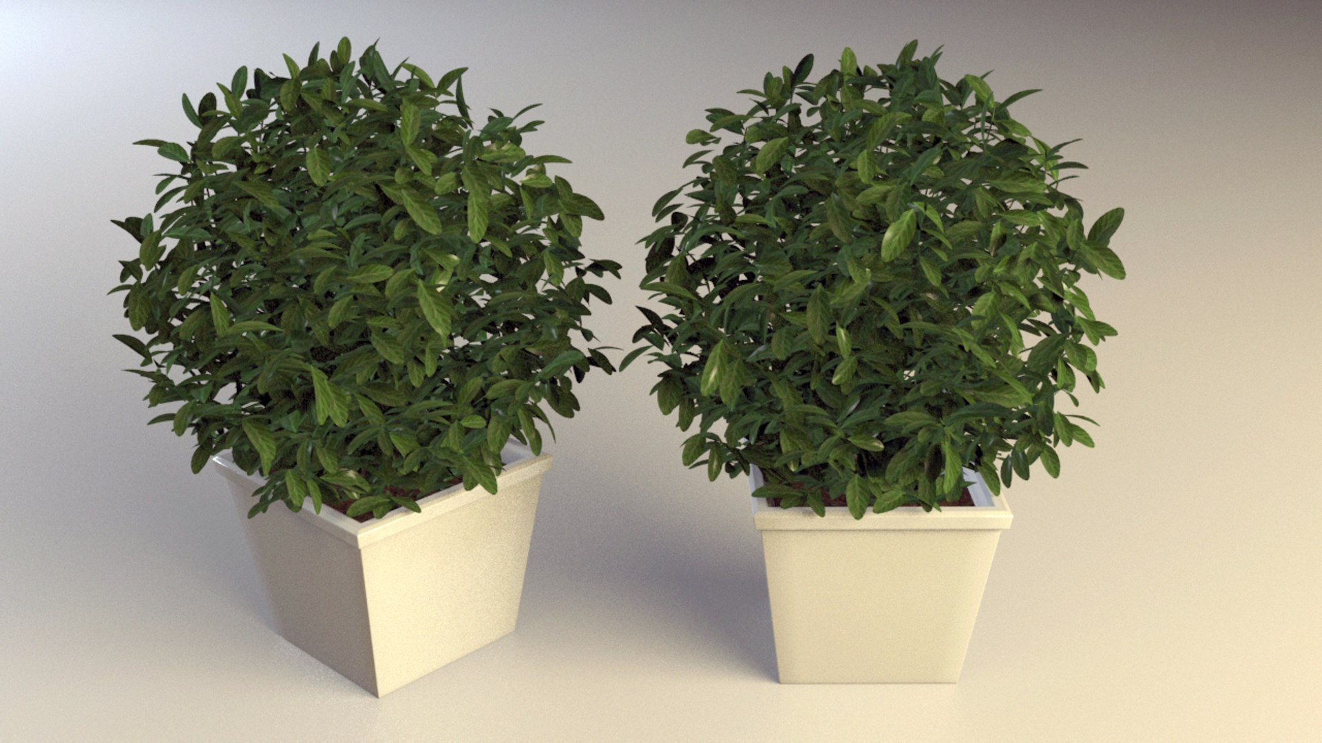3d plant pot model
