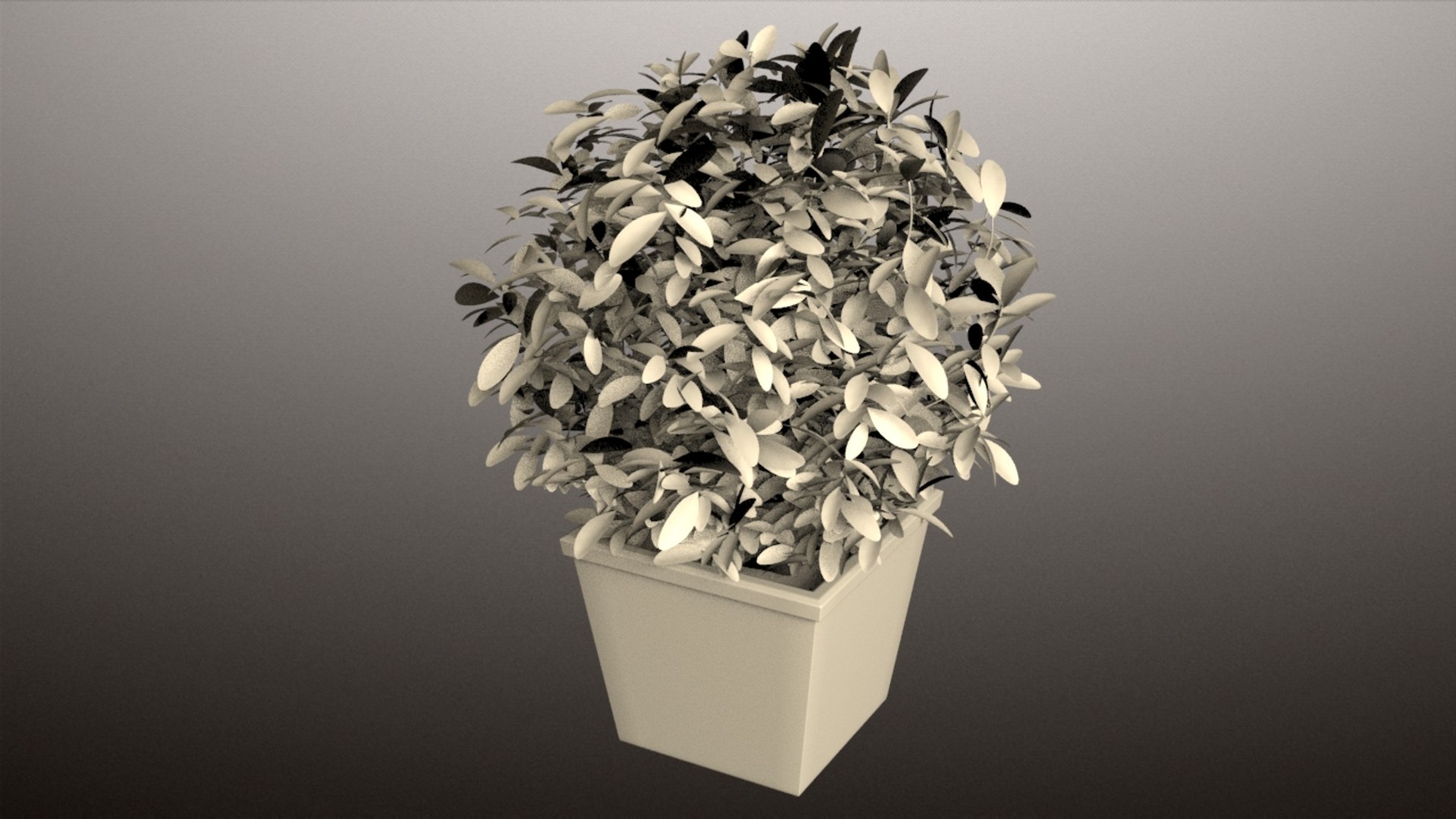 3d plant pot model