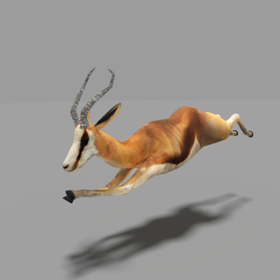 Thomson-gazelle Animation 3d Blend