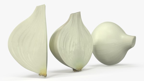 White Onions Fur 3D model - TurboSquid 1952590