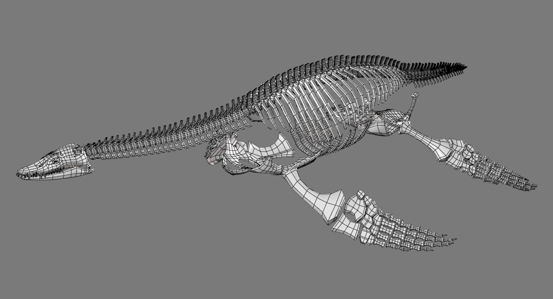 Plesiosaurus Skeleton 3d Model