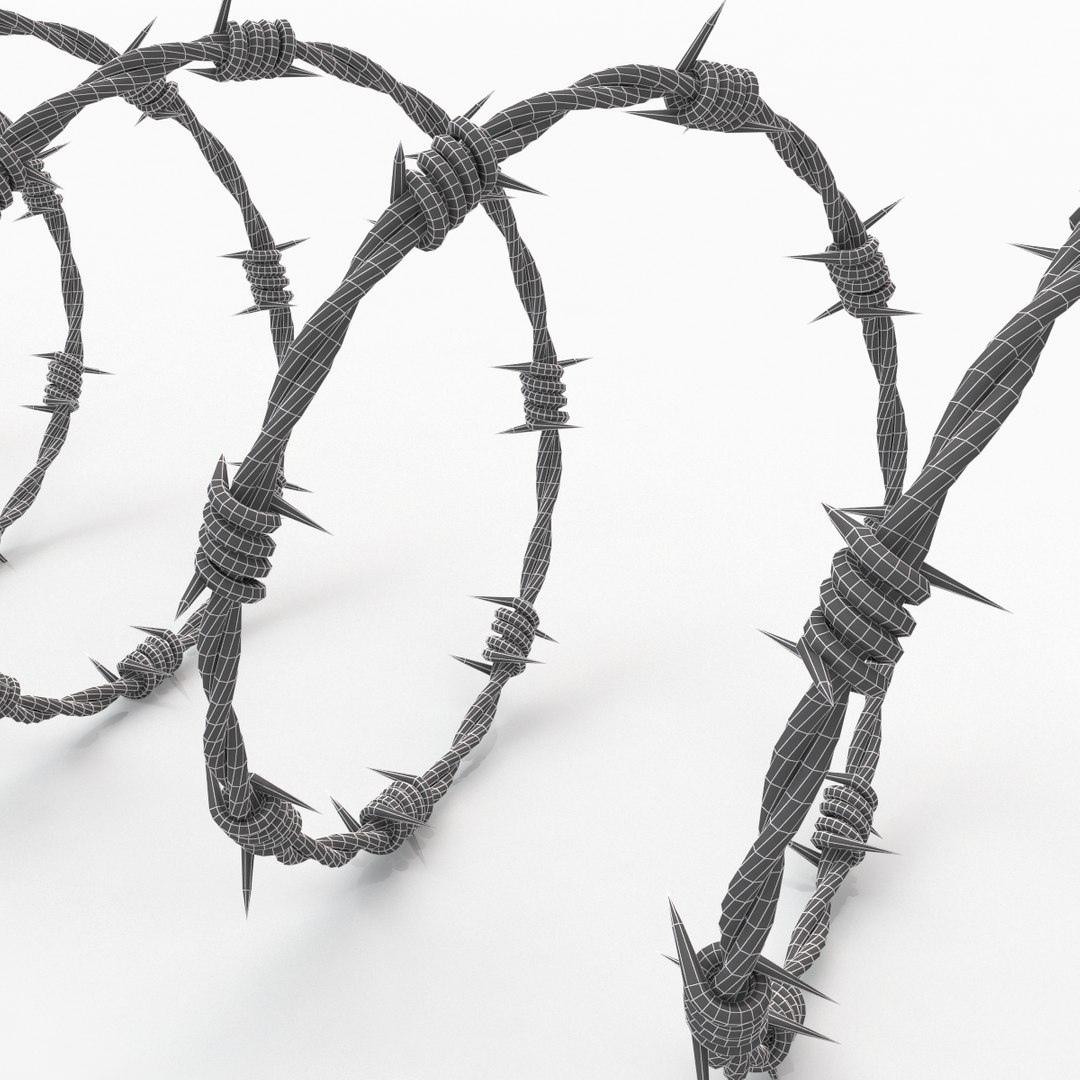 barbwire barb wire 3d model