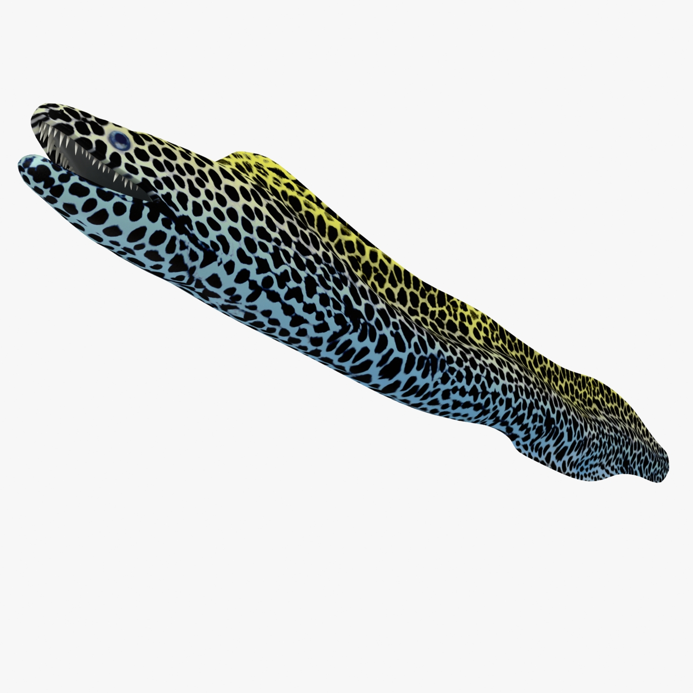 tesselata moray eel 3d max