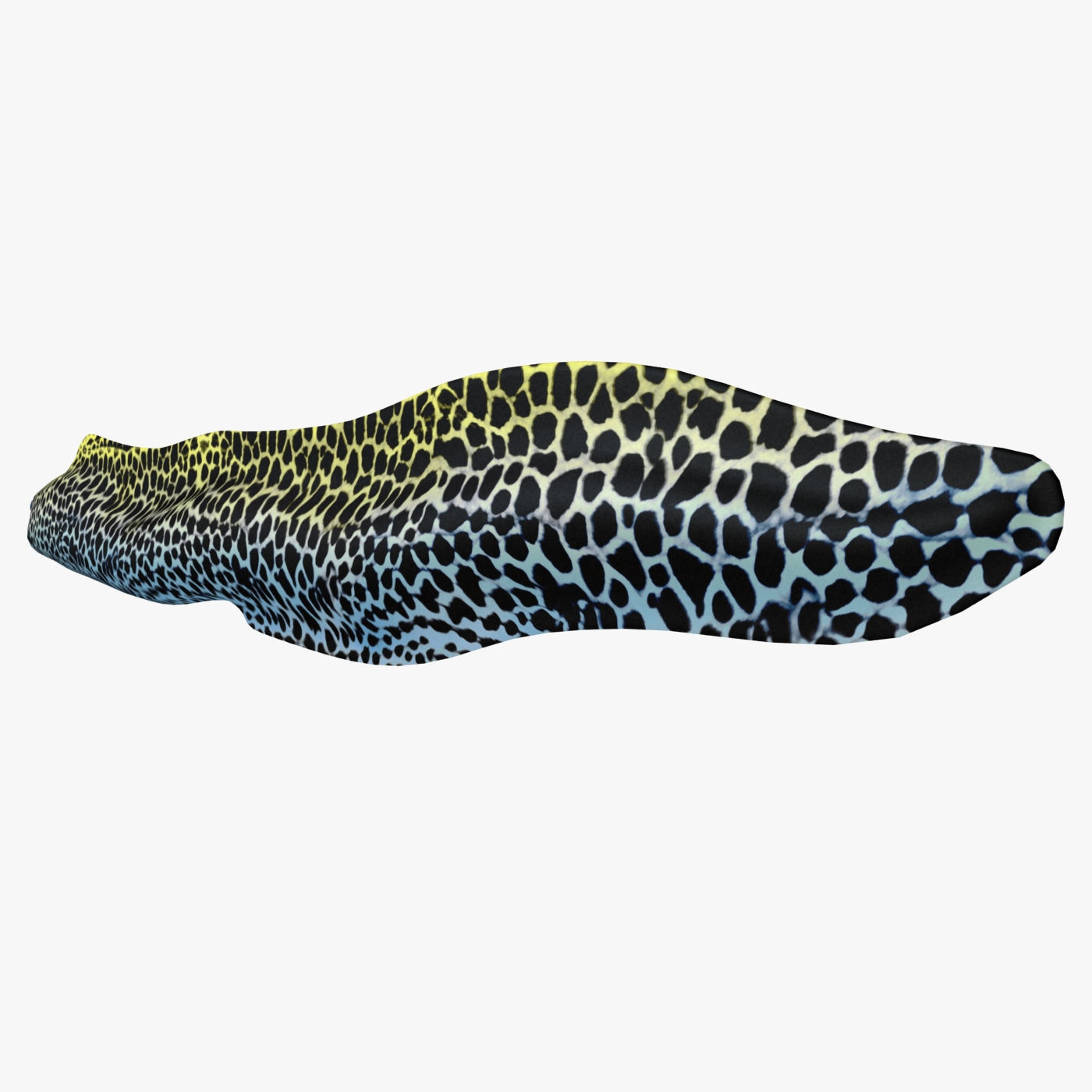 tesselata moray eel 3d max