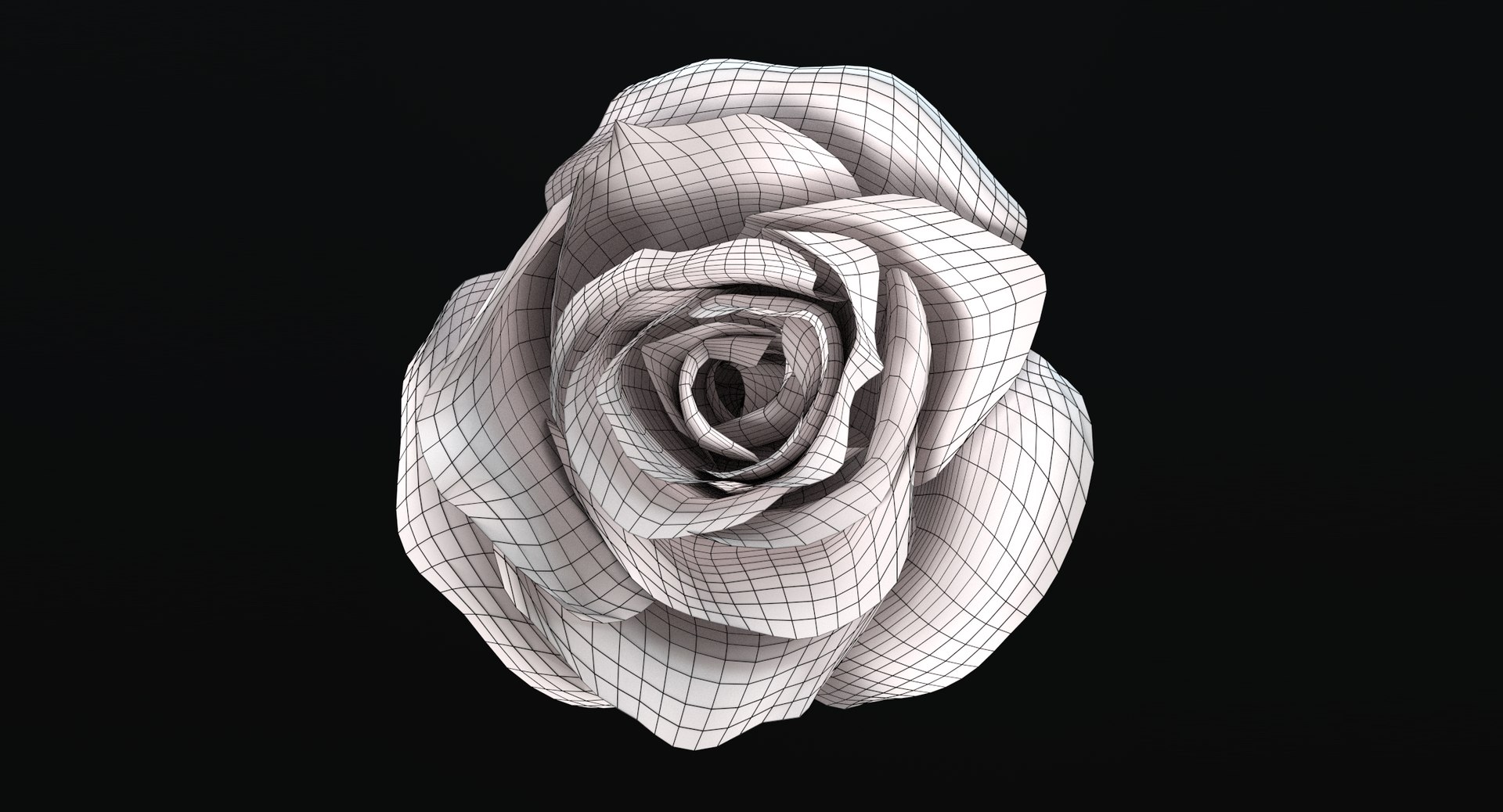 Rose 3d Model