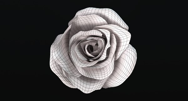 rose 3d model