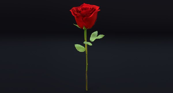 rose 3d model