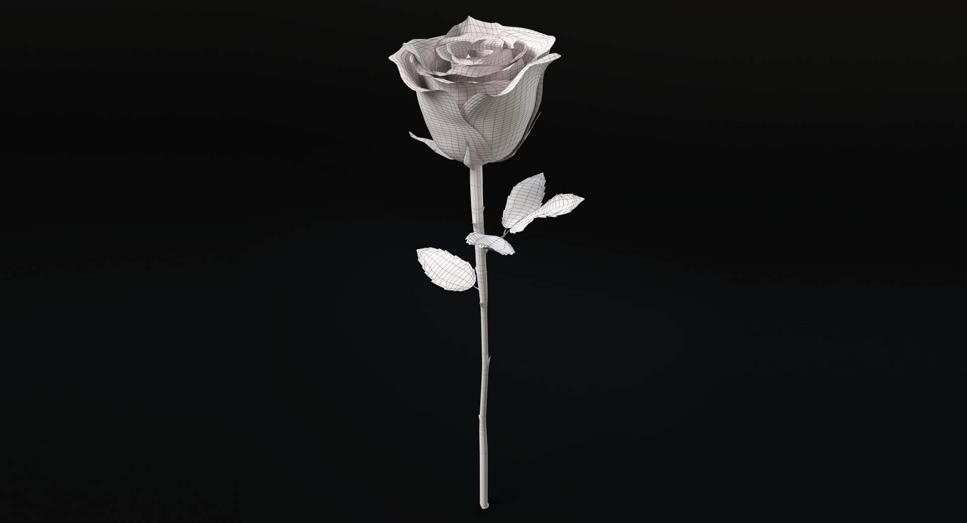 Rose 3d Model