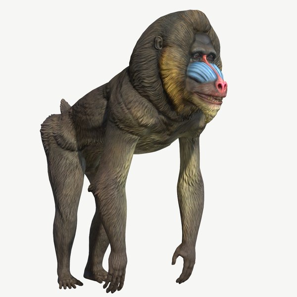 modelo 3d Mandril - TurboSquid 2190070