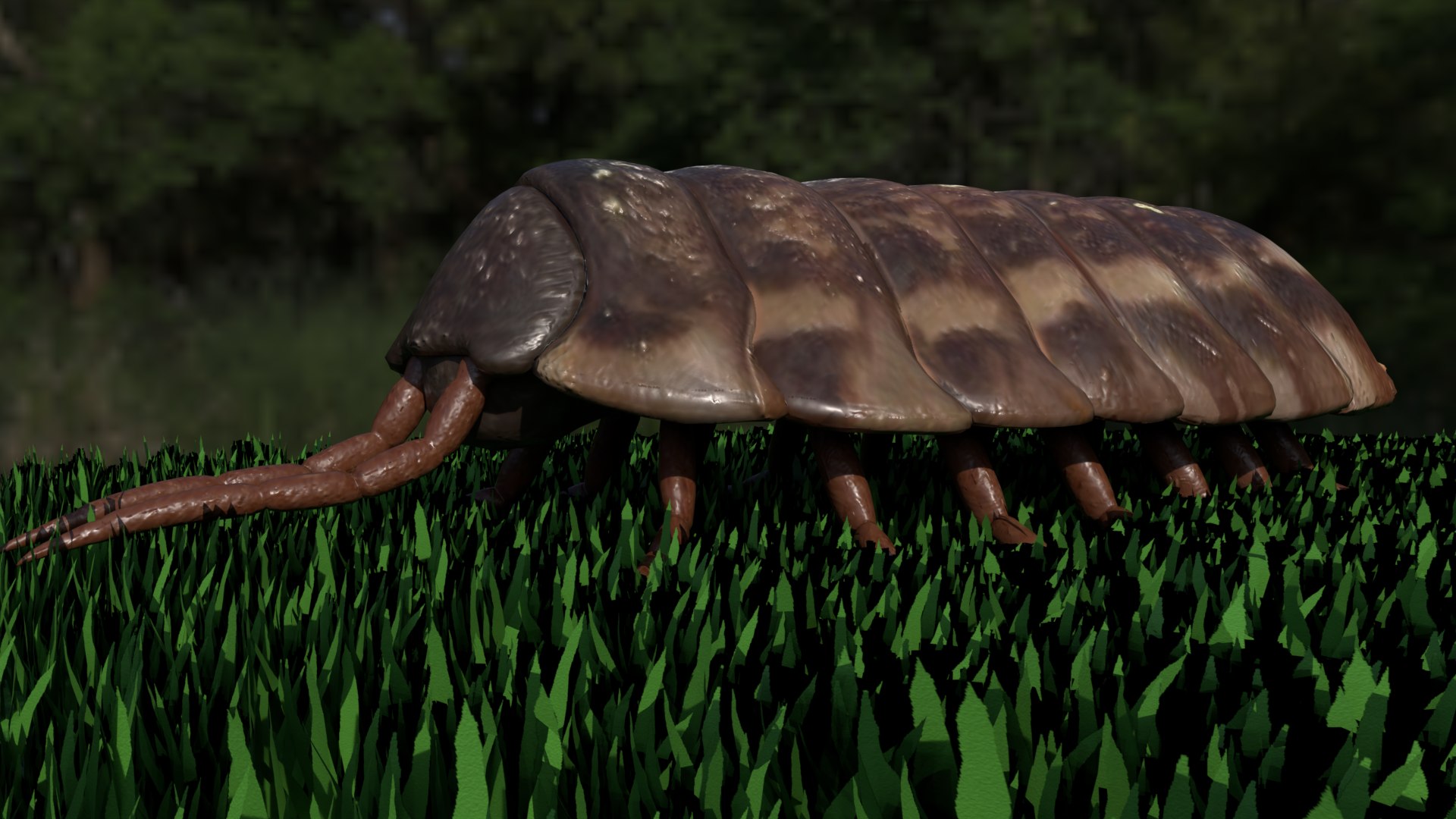 3D Wood Lice - 3D Model - TurboSquid 2217155