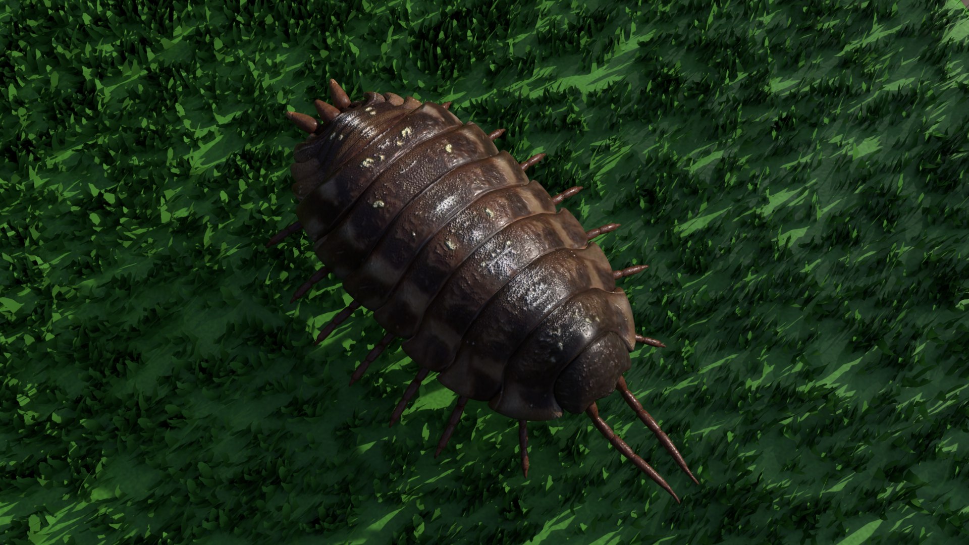 3D Wood Lice - 3D Model - TurboSquid 2217155