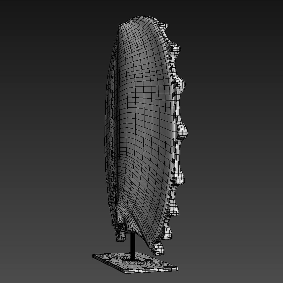 Freshwater turtle shell 3D model - TurboSquid 1379552