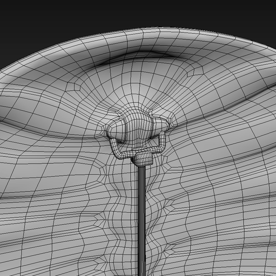 Freshwater Turtle Shell 3D Model - TurboSquid 1379552