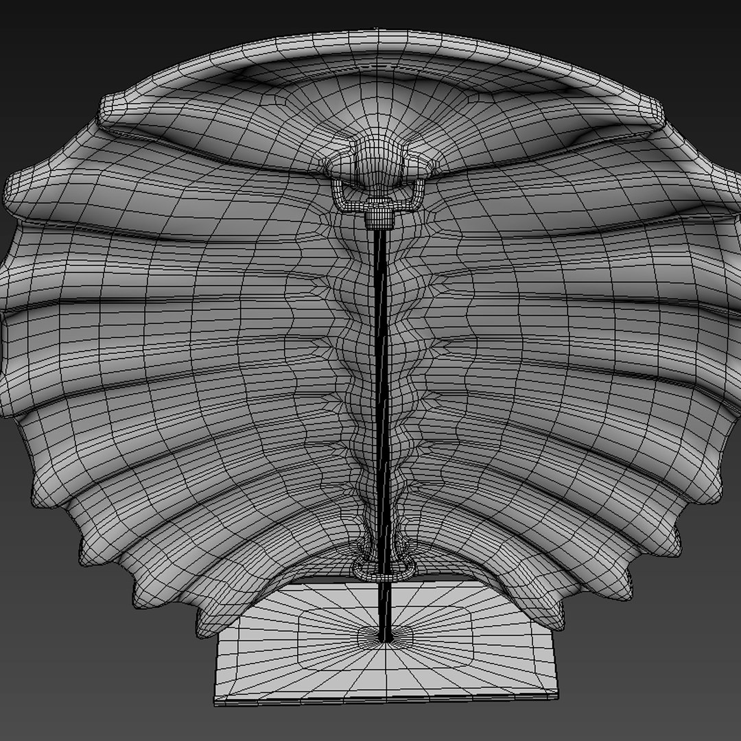 Freshwater turtle shell 3D model - TurboSquid 1379552