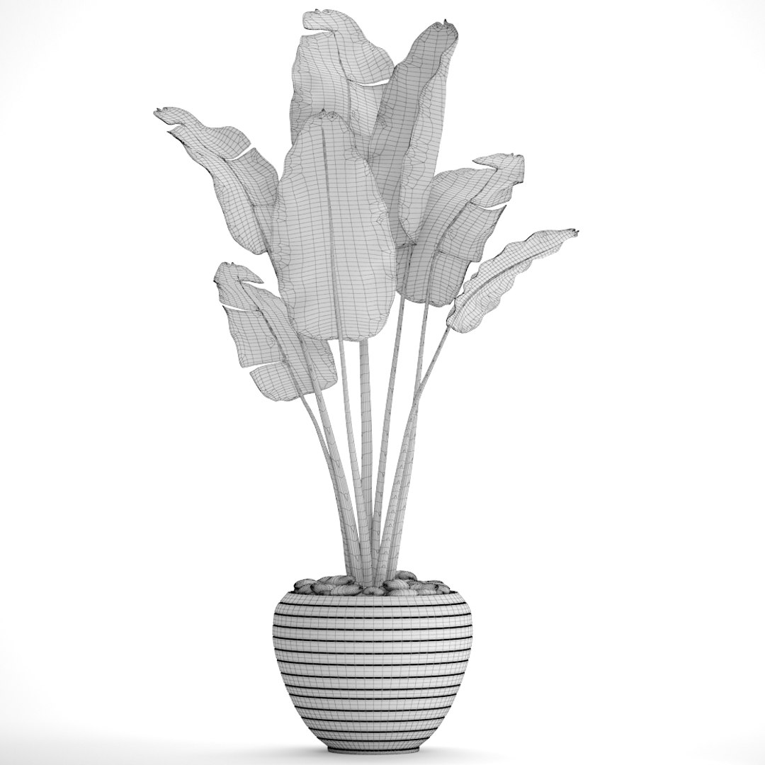 3D Banana Tree Model - TurboSquid 1164114