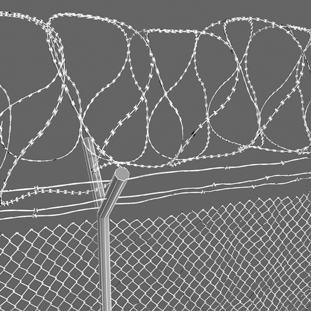 3d Barb Wires Model