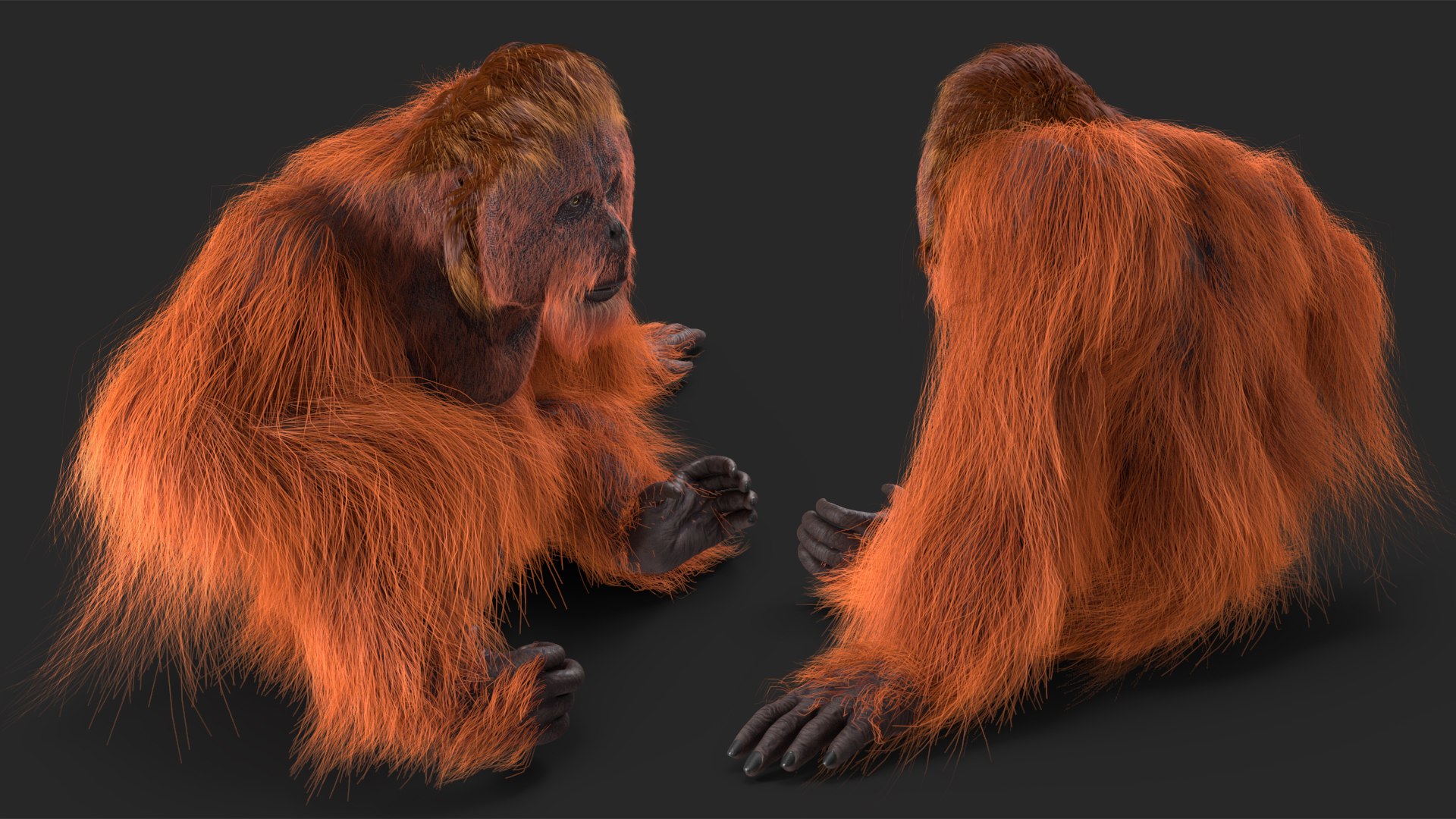 Tired Sitting Orangutan Fur 3D model - TurboSquid 1985287