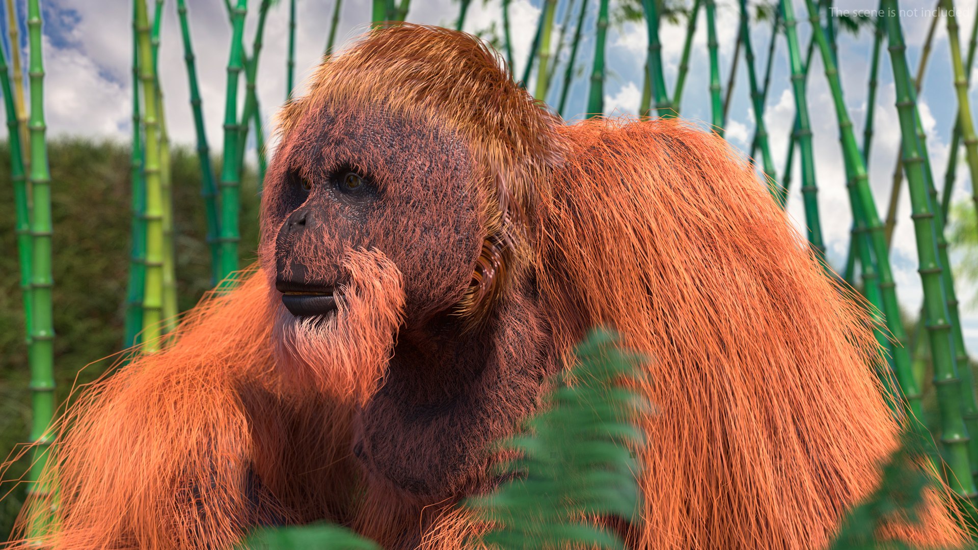 Tired Sitting Orangutan Fur 3D model - TurboSquid 1985287