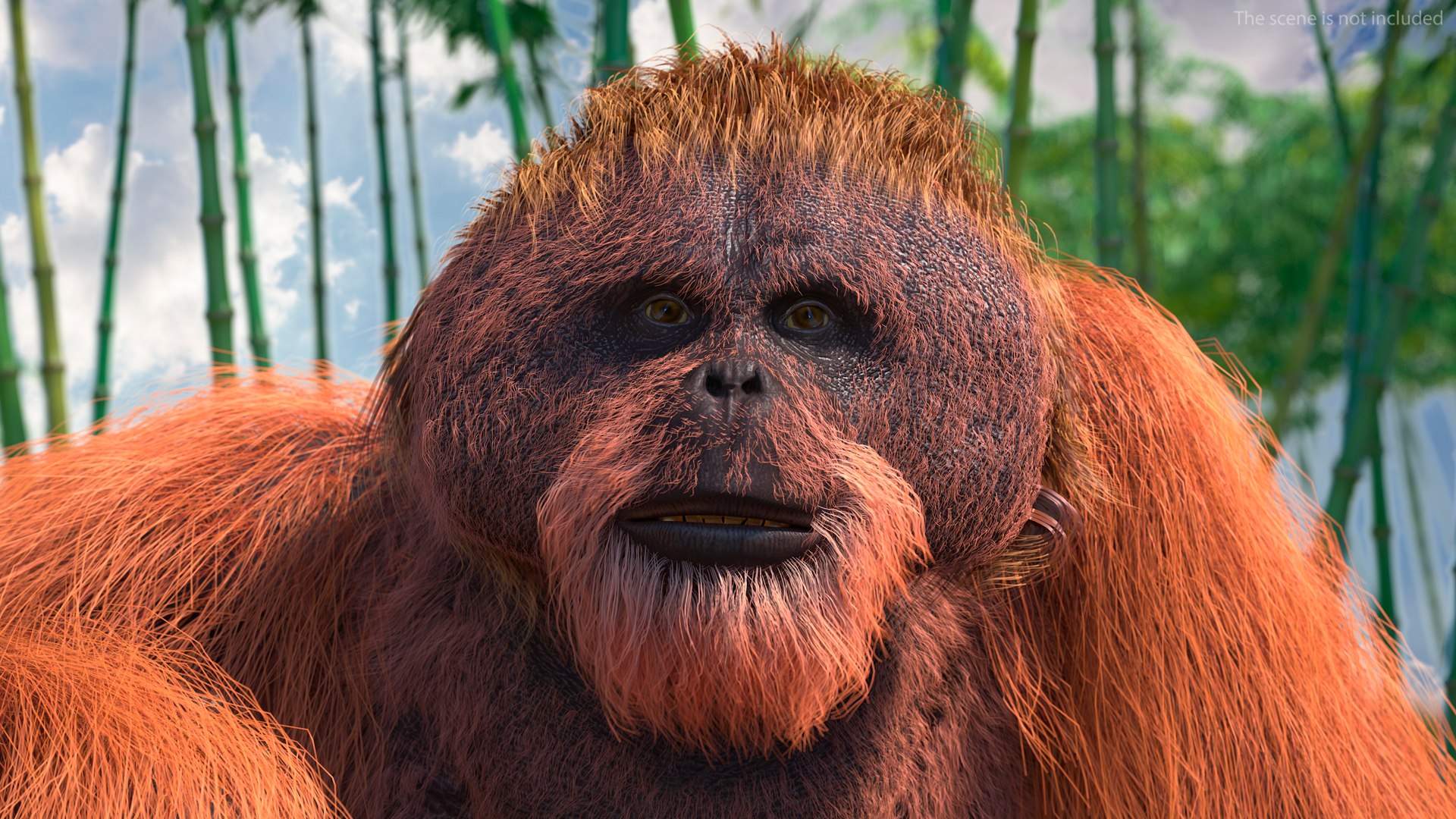 Tired Sitting Orangutan Fur 3D model - TurboSquid 1985287