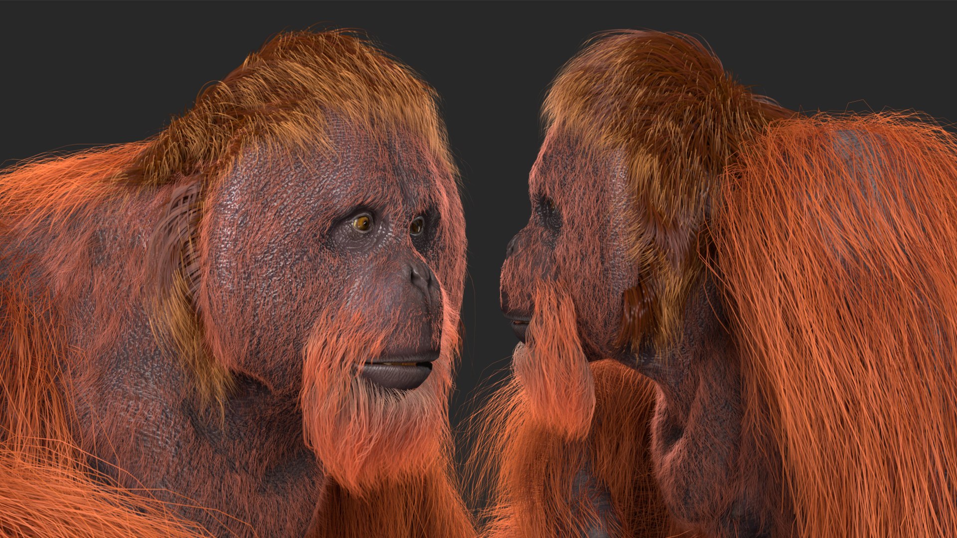 Tired Sitting Orangutan Fur 3D model - TurboSquid 1985287