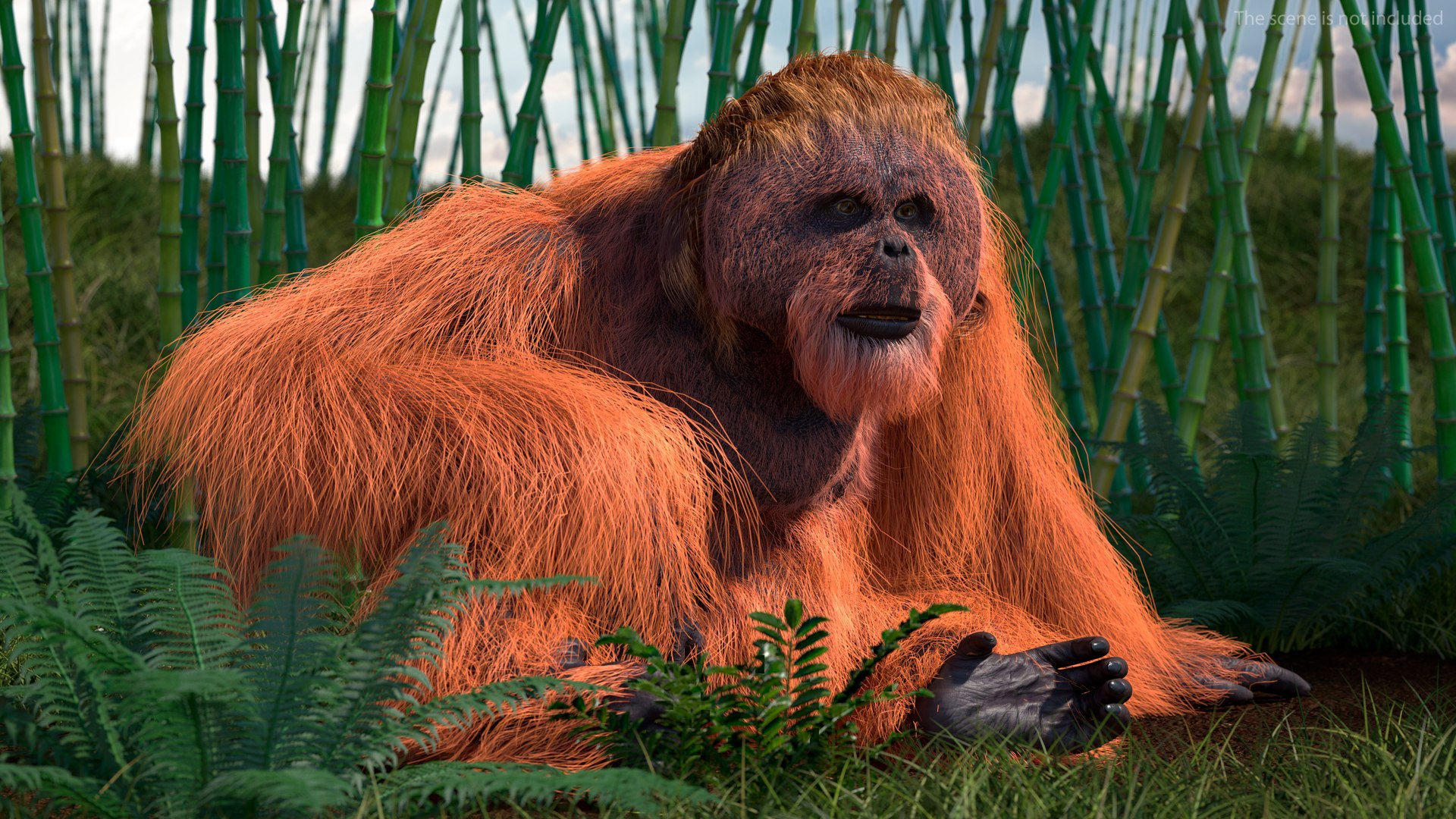 Tired Sitting Orangutan Fur 3D model - TurboSquid 1985287