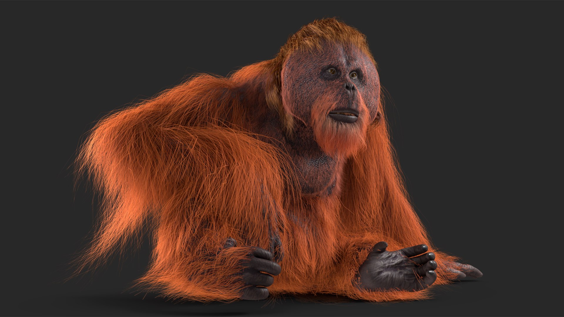 Tired Sitting Orangutan Fur 3D model - TurboSquid 1985287