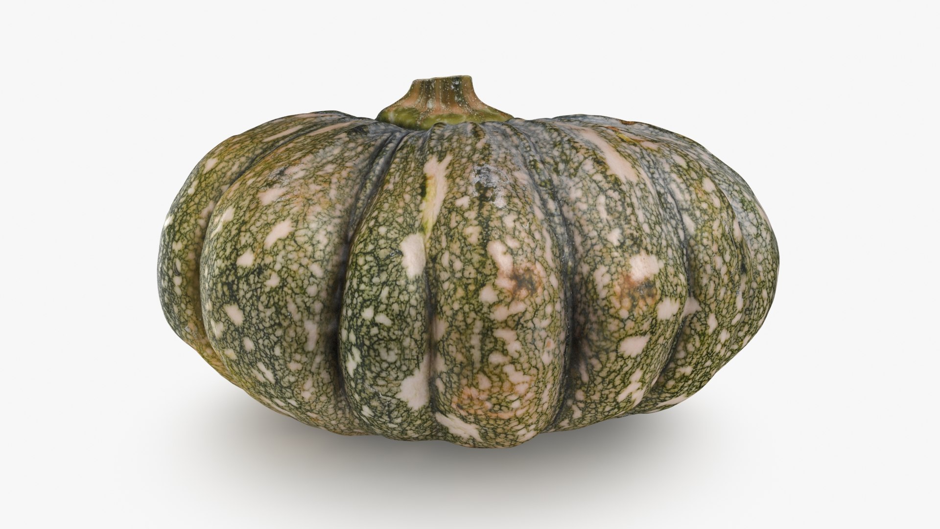Asian Pumpkin Half 3D Model - TurboSquid 2212803