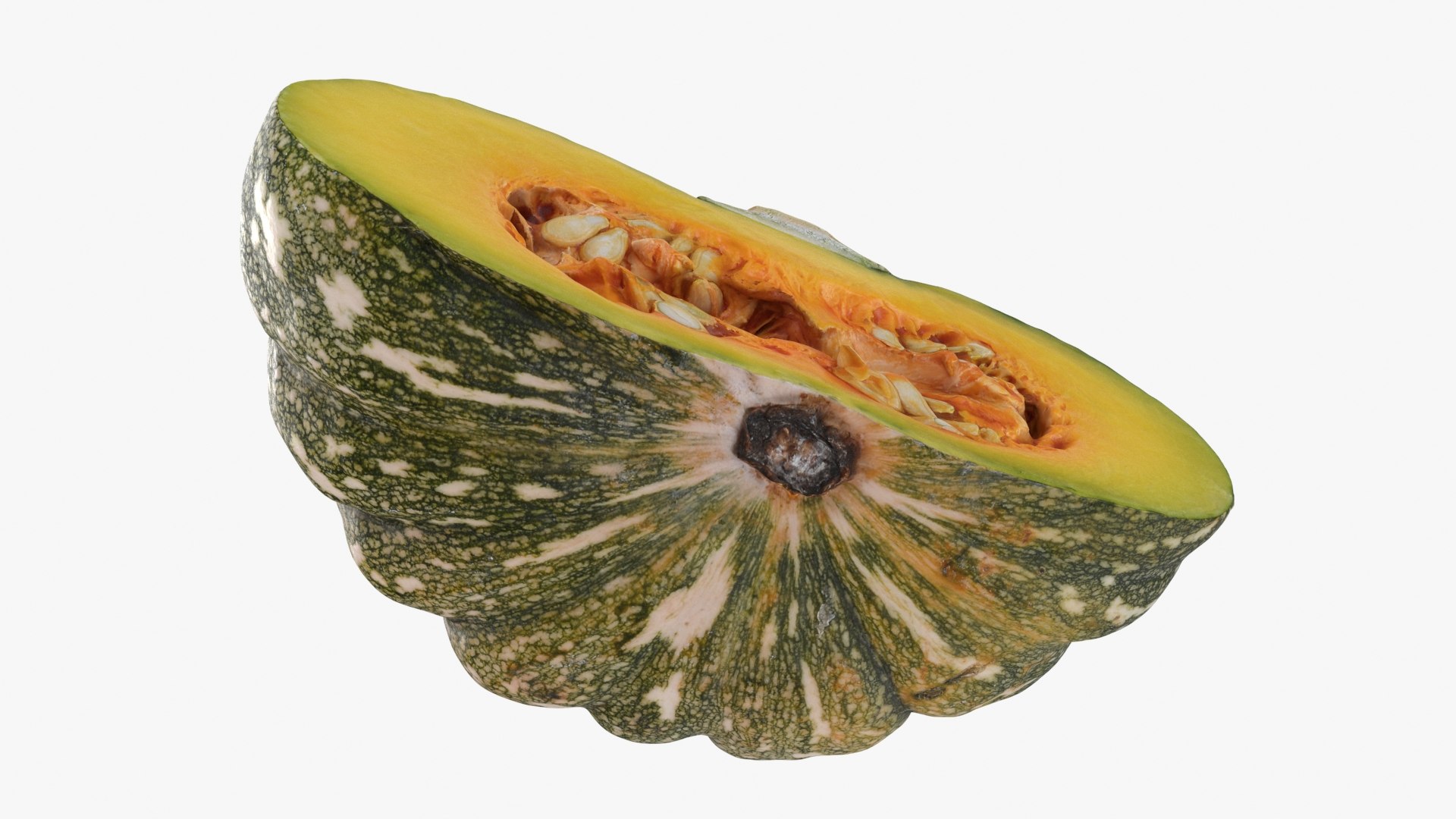 Asian Pumpkin Half 3D Model - TurboSquid 2212803