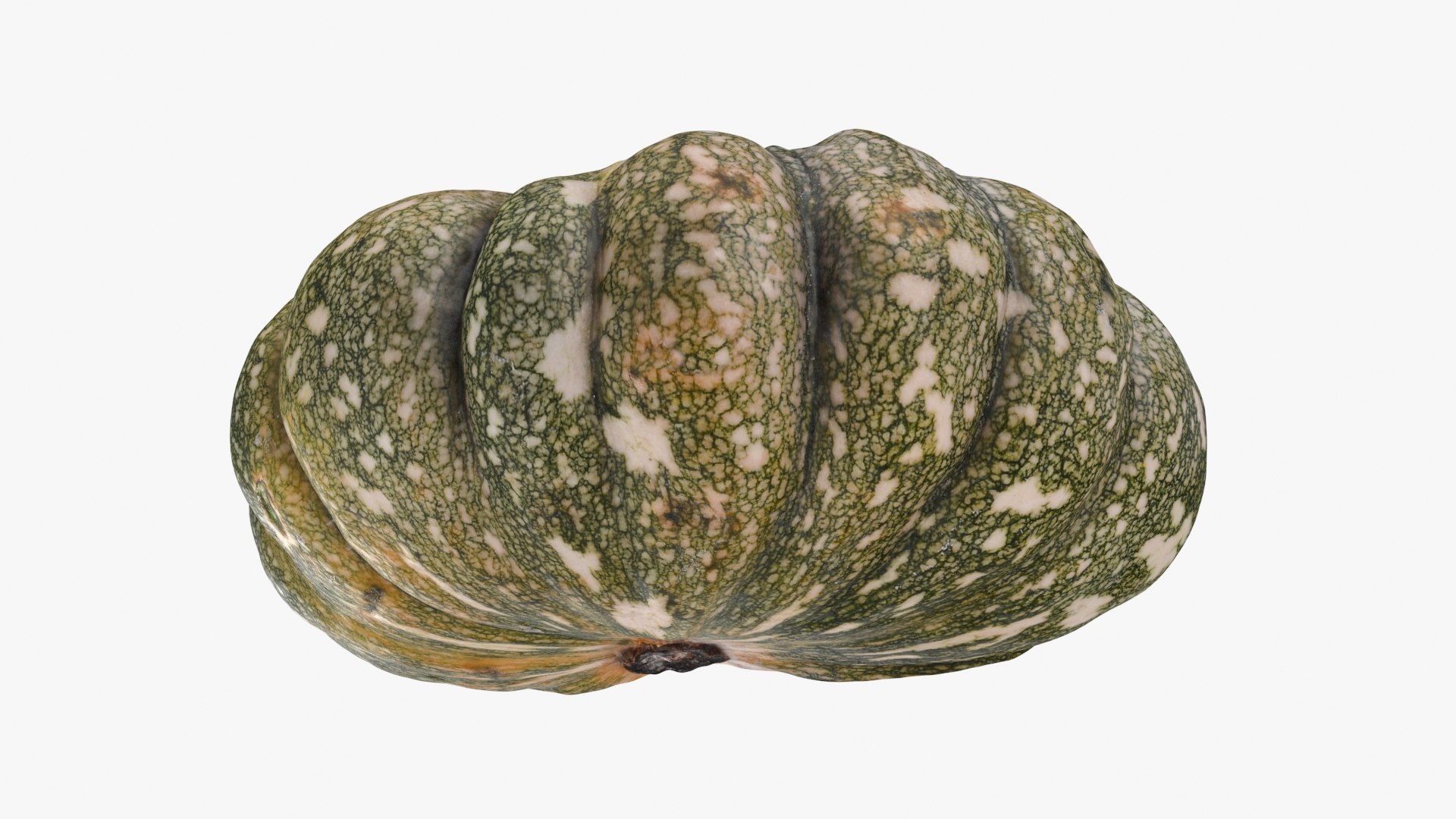 Asian Pumpkin Half 3D Model - TurboSquid 2212803