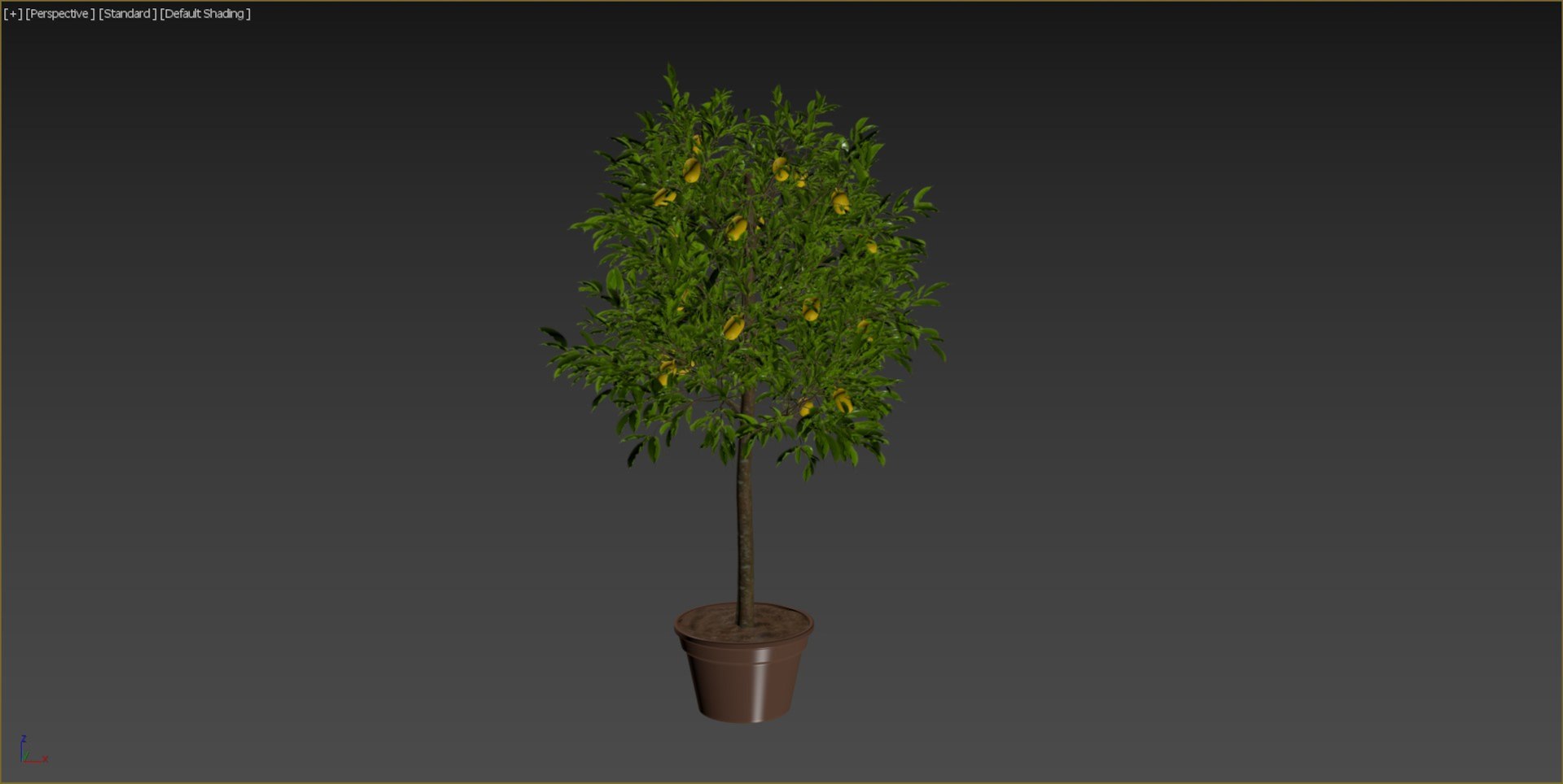 Lemon Tree Plant 3D Model - TurboSquid 2222081