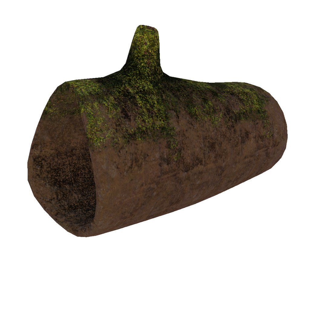 Fallen Tree Branch 3D Model - TurboSquid 2159992
