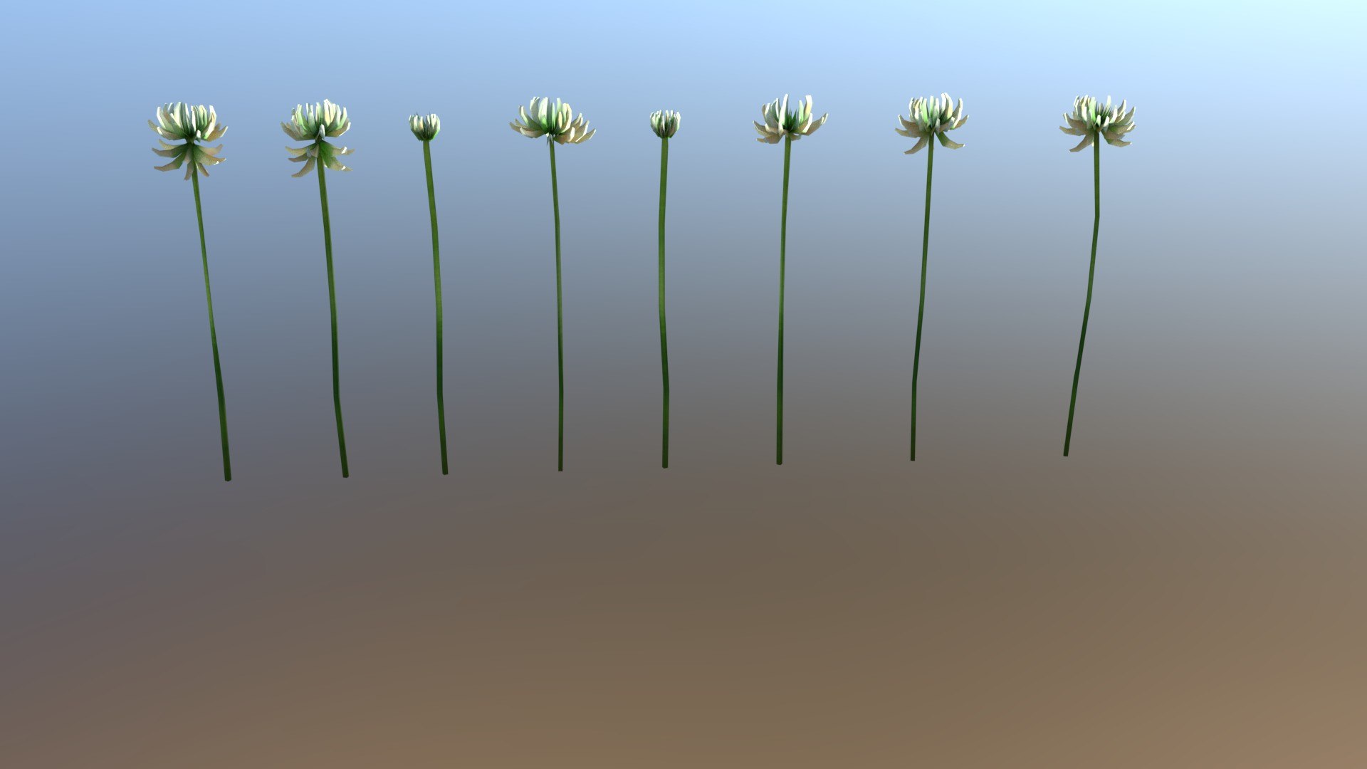 Free 3D Clover Asset Flower Model - TurboSquid 1262886