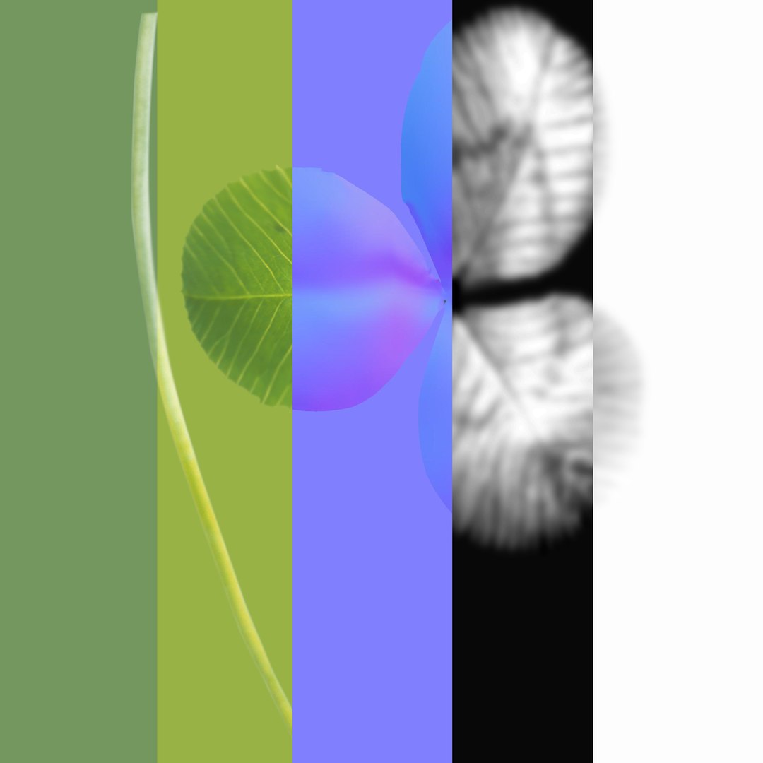 Free 3D Clover Asset Flower Model - TurboSquid 1262886