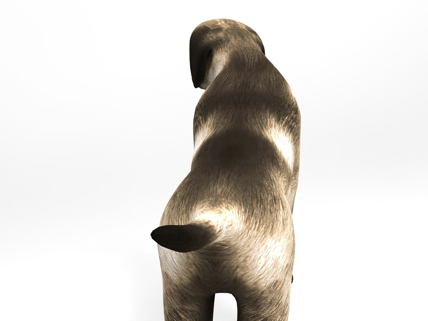 dog rigged 3d max