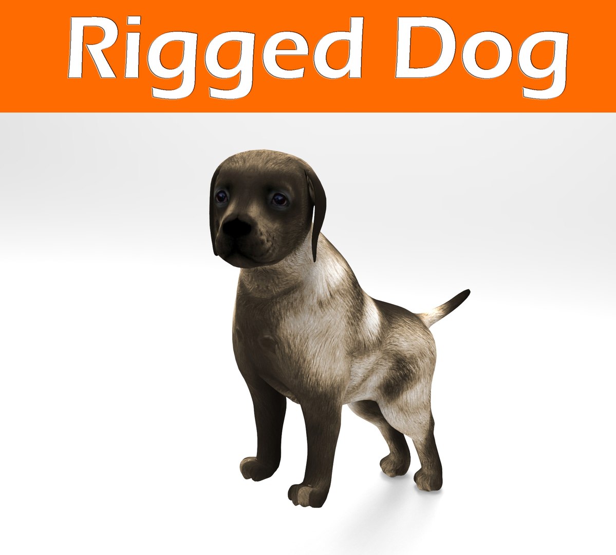 dog rigged 3d max
