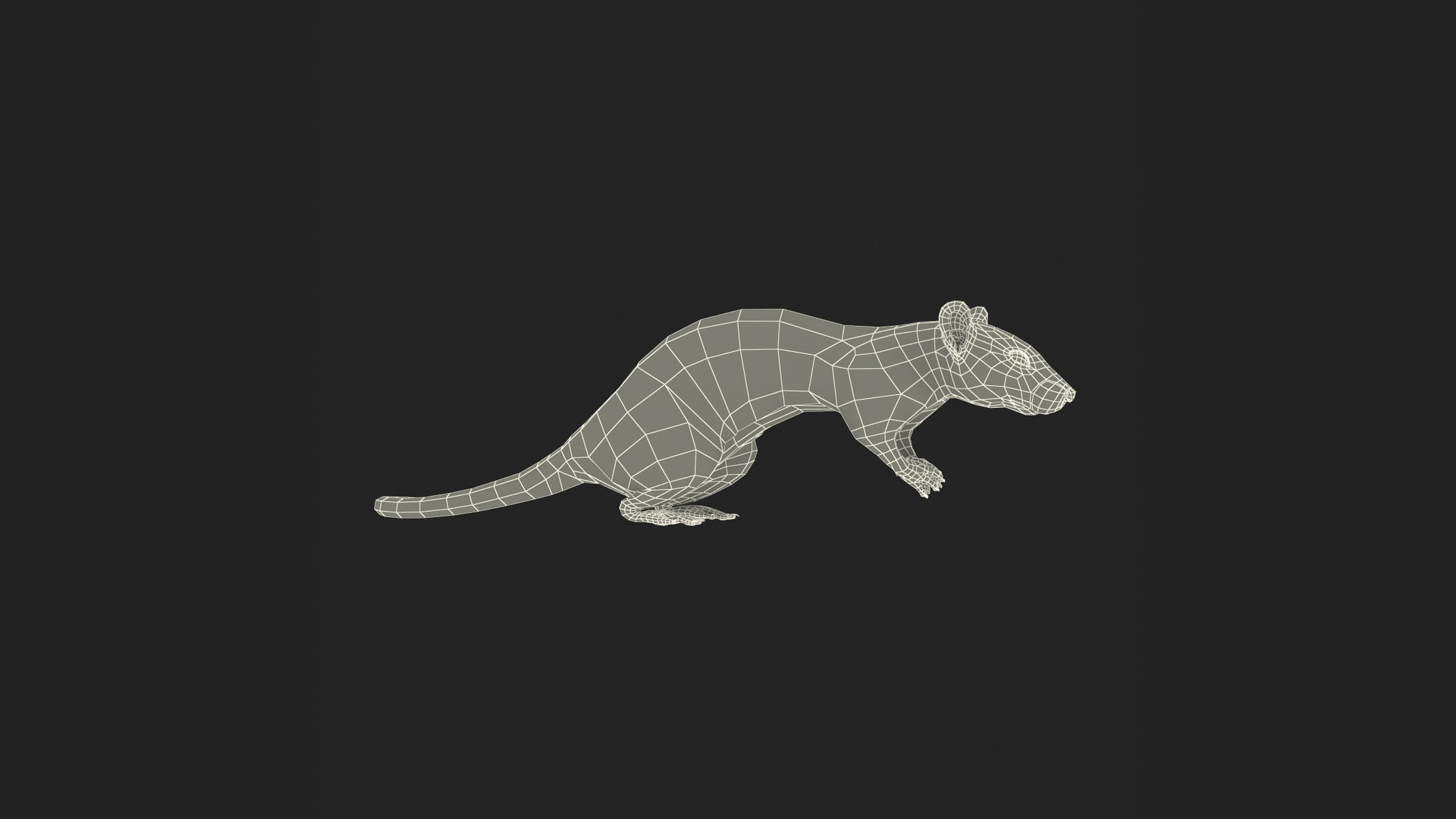 Realistic Lifelike Rodent Rat Model - TurboSquid 2270527